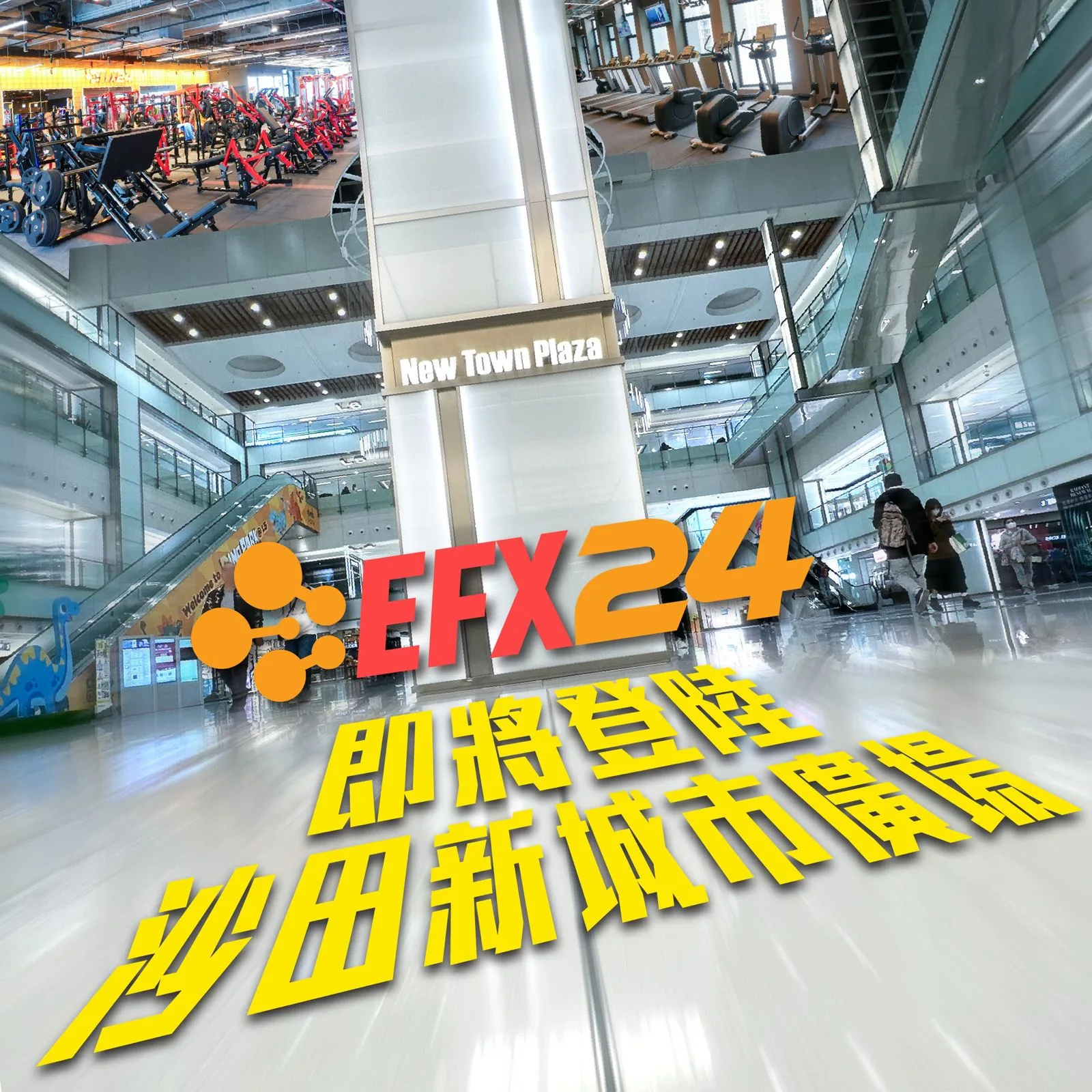【EFX24第5間分店】2024年第一季登陸沙田新城市廣場
